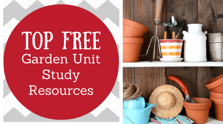 Preschool Archives - Homeschool On