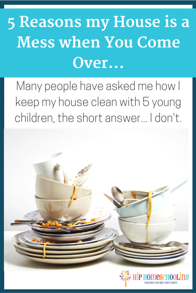 5 Reasons I have a Messy House When You Come Over