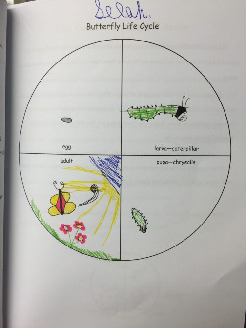 Nancy Larson Science: Who should and shouldn't use it?